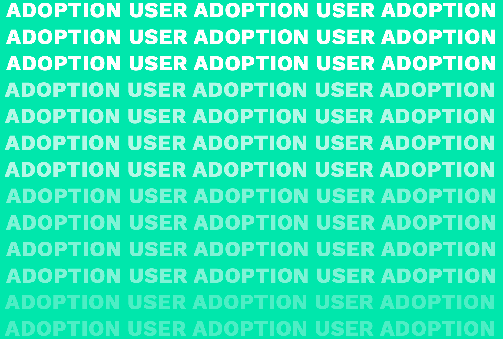Software Adoption 101 - tl;dv