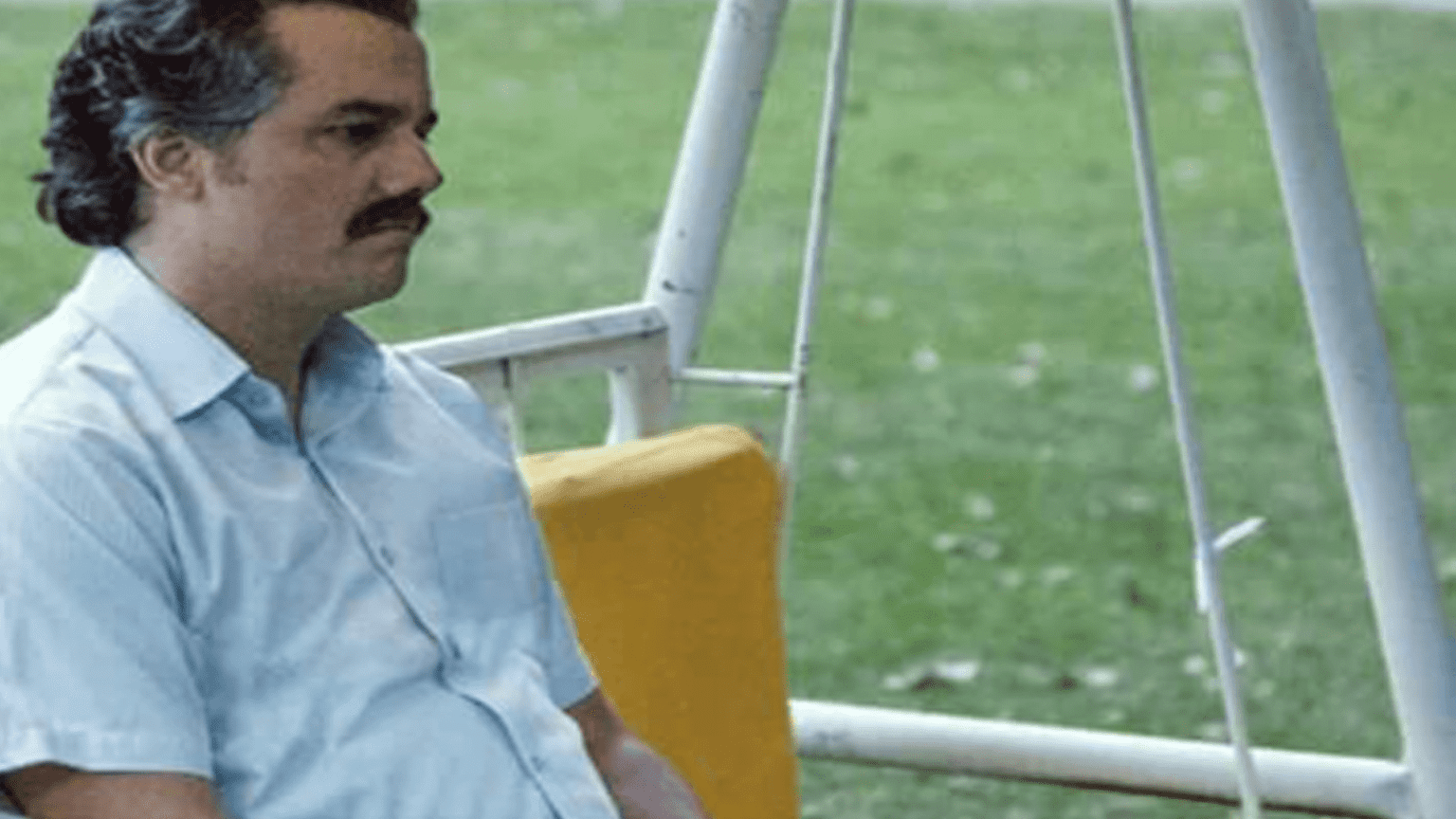 30 Funny Zoom Backgrounds You Need in Your Life! - tl;dv