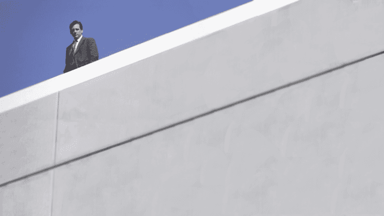 30 Funny Zoom Backgrounds You Need in Your Life! - tl;dv